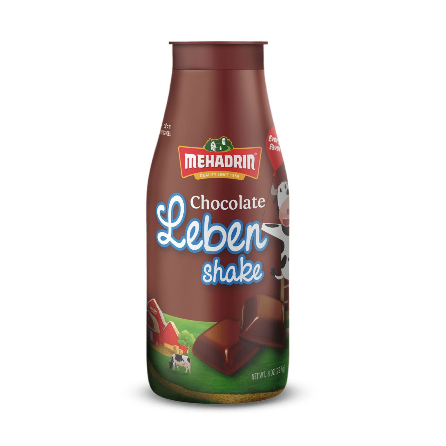 Chocolate Leben, 6 Oz. - Mehadrin Dairy